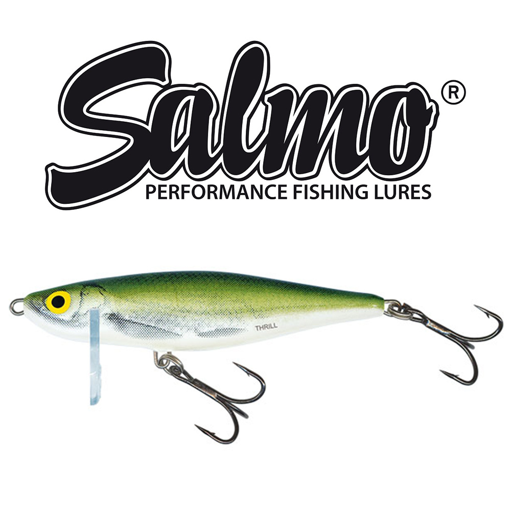 Salmo - Wobler Thrill sinking 7cm - Lovime-ryby